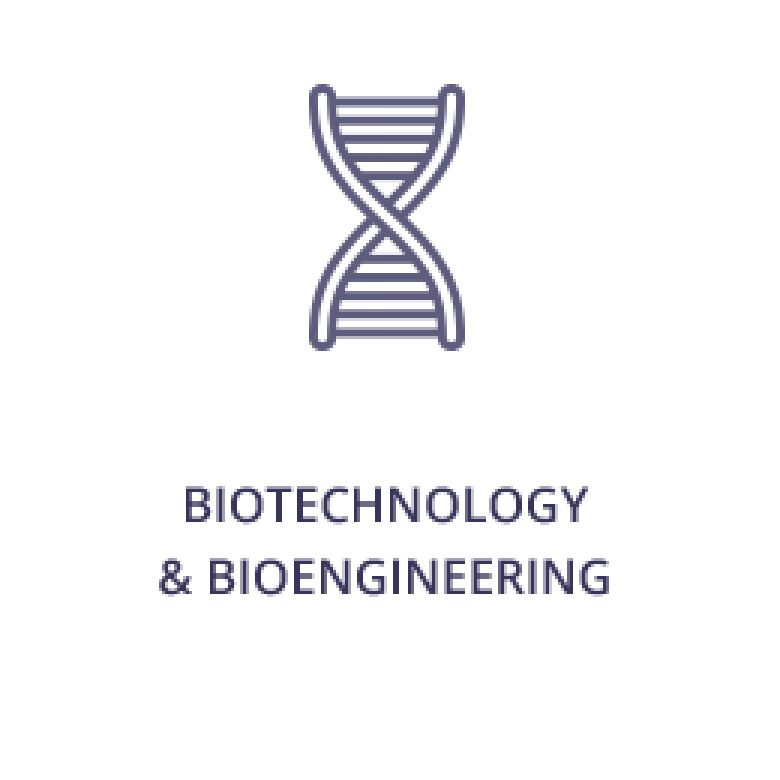 Our Team - Impact Innovation