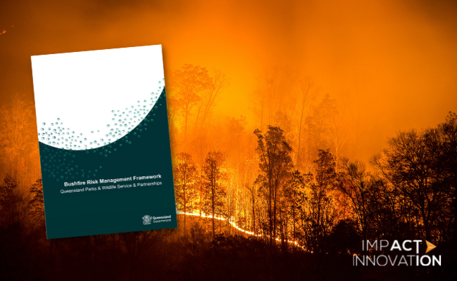 Sparking smarter ideas for managing bushfire risk - Impact Innovation